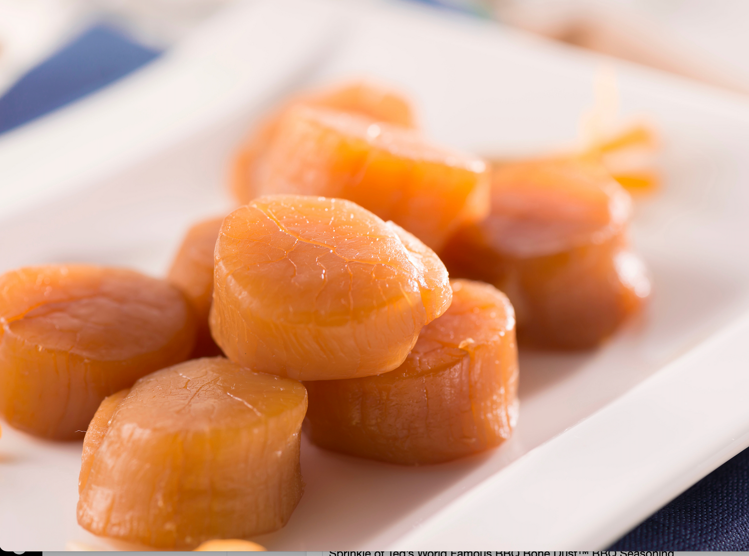 Smoked Candied Salmon Recipe | Bradley Smoker