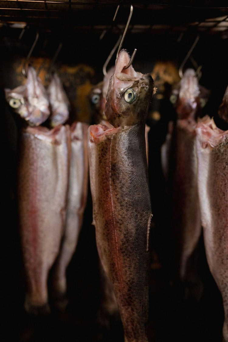 Smoked Rainbow Trout Recipe | Bradley Smoker